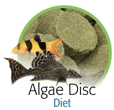 Algae Disc - Zeigler Feed Manufacturing