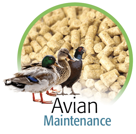 Avian Maintenance - Zeigler Feed Manufacturing