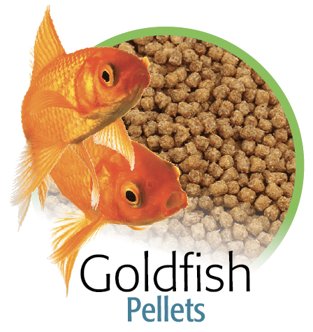 Goldfish Pellets - Zeigler Feed Manufacturing
