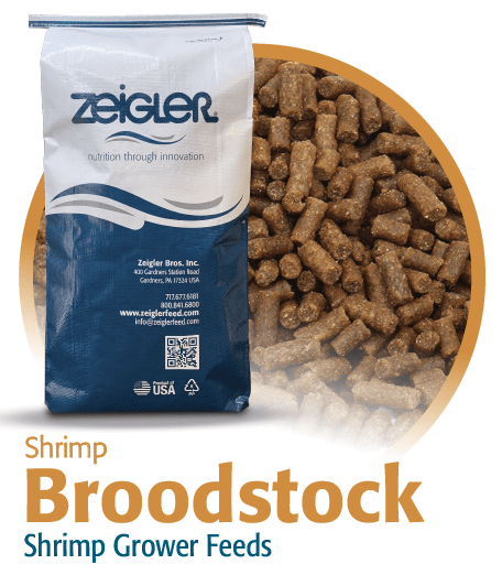 Shrimp Broodstock Feed - Zeigler Feed Manufacturing