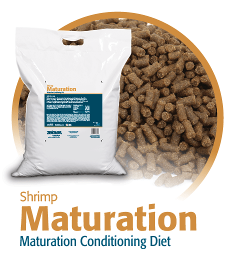Shrimp Maturation Feed Products - Zeigler Feed Manufacturing