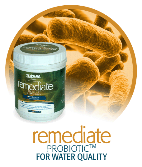 Shrimp Feed Probiotics & Additives - Zeigler Feed Manufacturing