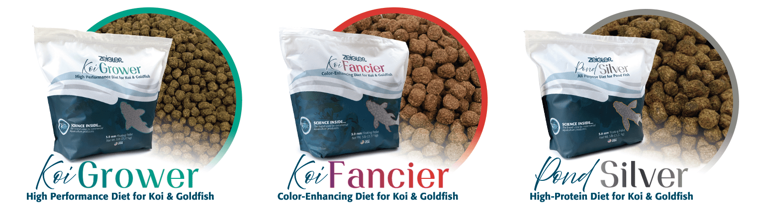 Zeigler Bros., Inc. Launches New Koi Line-Up And Packaging - Zeigler ...